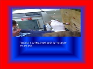 Eye Dissection | PPT | Eye and Vision Conditions | Diseases and Conditions