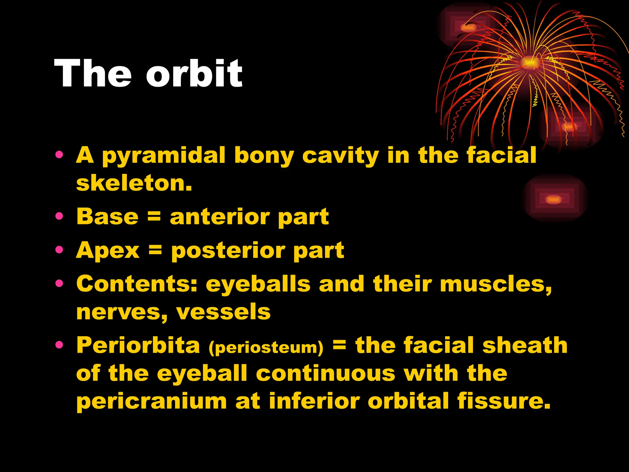 the eye orbit anatomy in ophthalmology.ppt