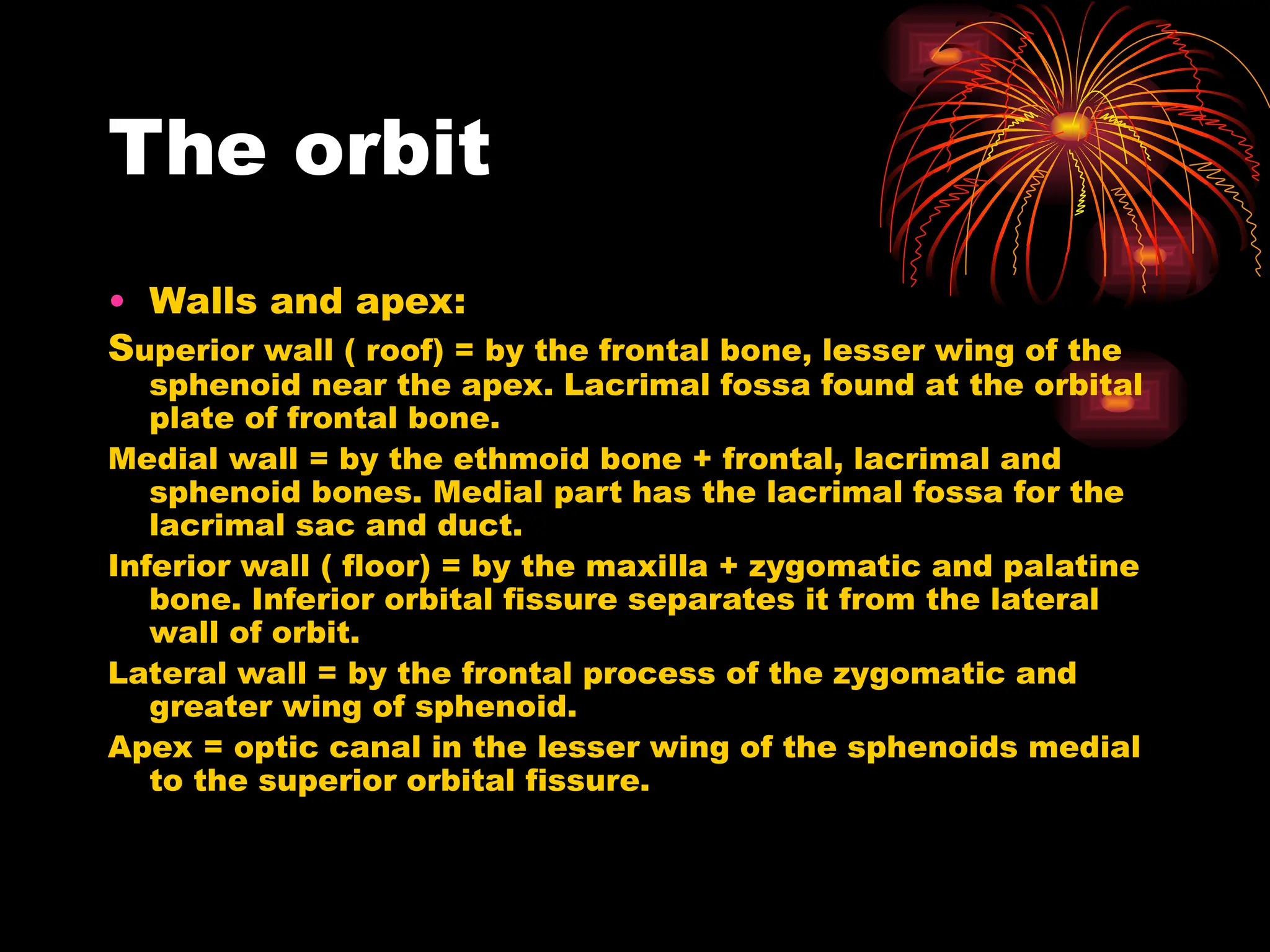 the eye orbit anatomy in ophthalmology.ppt