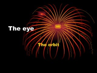 the eye orbit anatomy in ophthalmology.ppt
