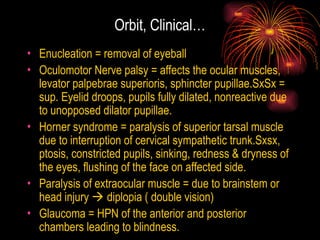 the eye orbit anatomy in ophthalmology.ppt