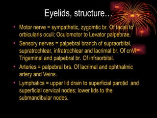the eye orbit anatomy in ophthalmology.ppt