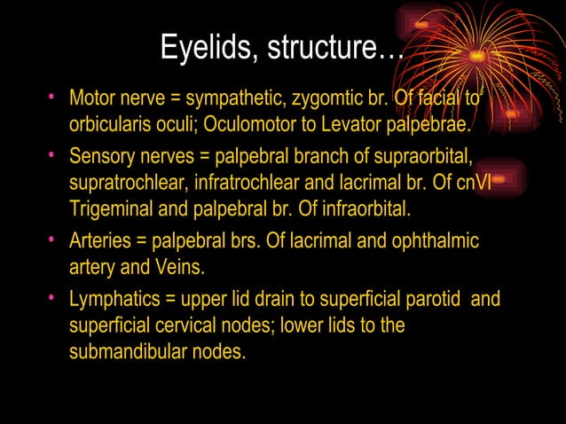 the eye orbit anatomy in ophthalmology.ppt