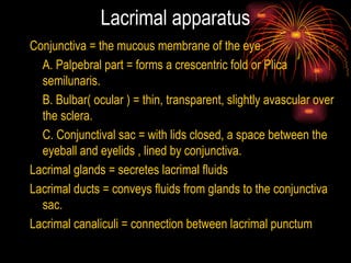 the eye orbit anatomy in ophthalmology.ppt