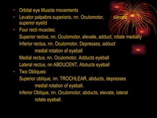the eye orbit anatomy in ophthalmology.ppt