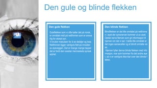 Eye-Scanning-Ophthalmology-PowerPoint-Template.pptx