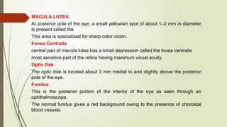 EYE 1 MBBSspecial senses -EYE for first year MBBS students .pptx