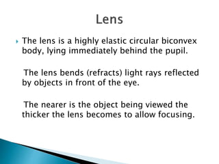 Eye Anatomy & Physiology | PPT