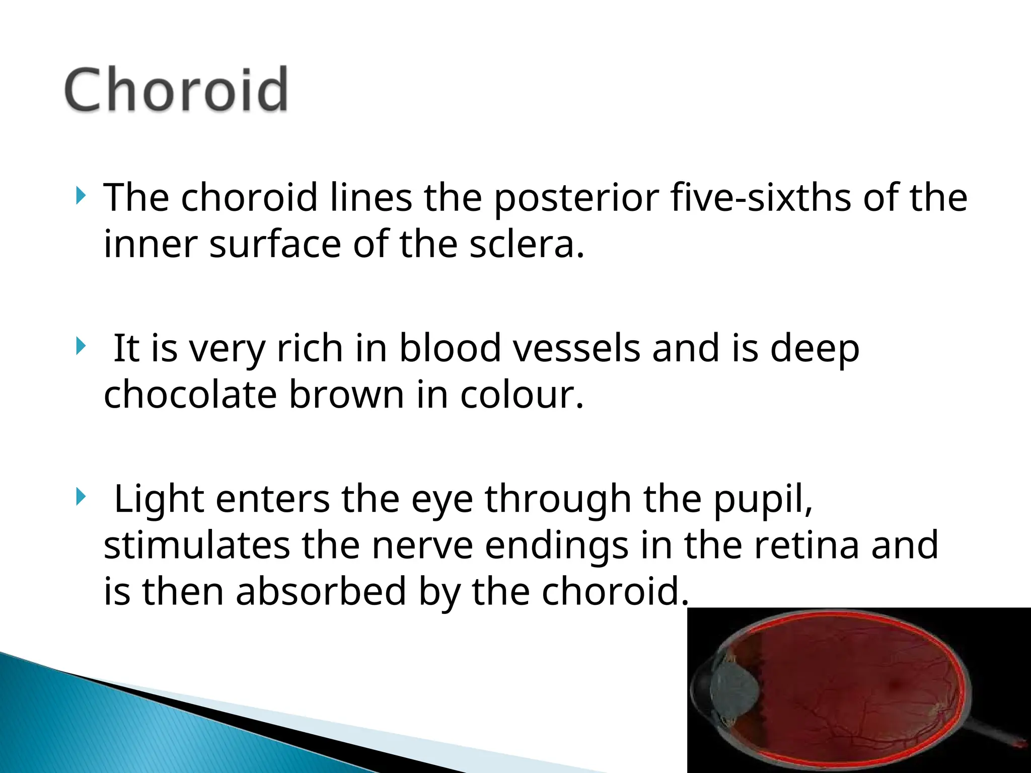 ophthalmology 1;anatomy and physiology of | PPT