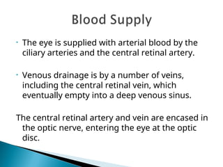 ophthalmology 1;anatomy and physiology of | PPT