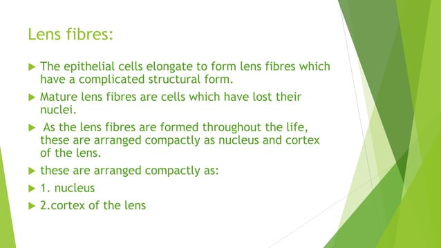 reflective error | PPT