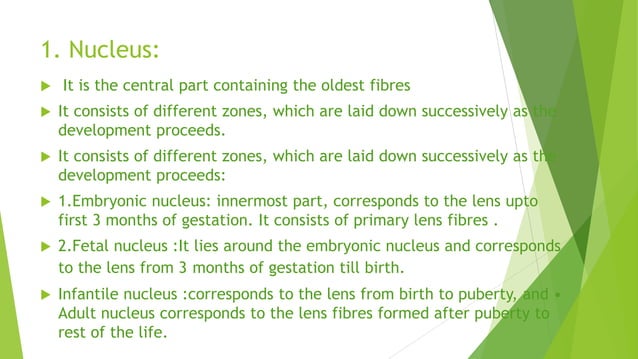 reflective error | PPT