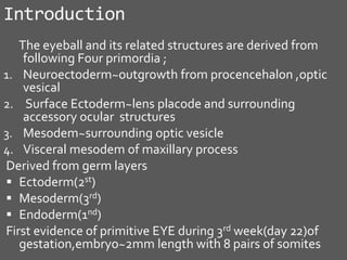 Eye 5;1 | PPTX