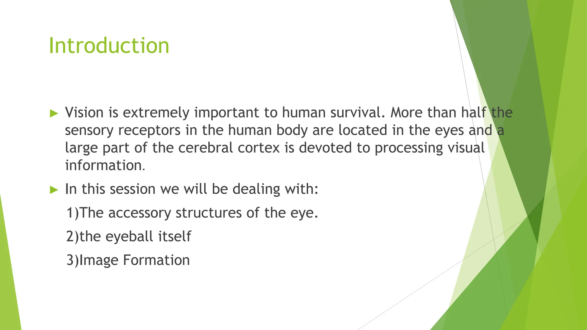 EYE ANATOMY and physiology quick overview | PPTX