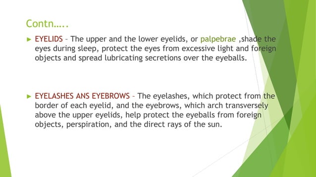 EYE ANATOMY and physiology quick overview | PPTX
