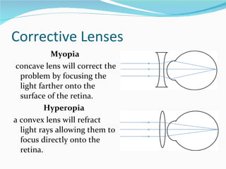 Eye anatomy | PPT