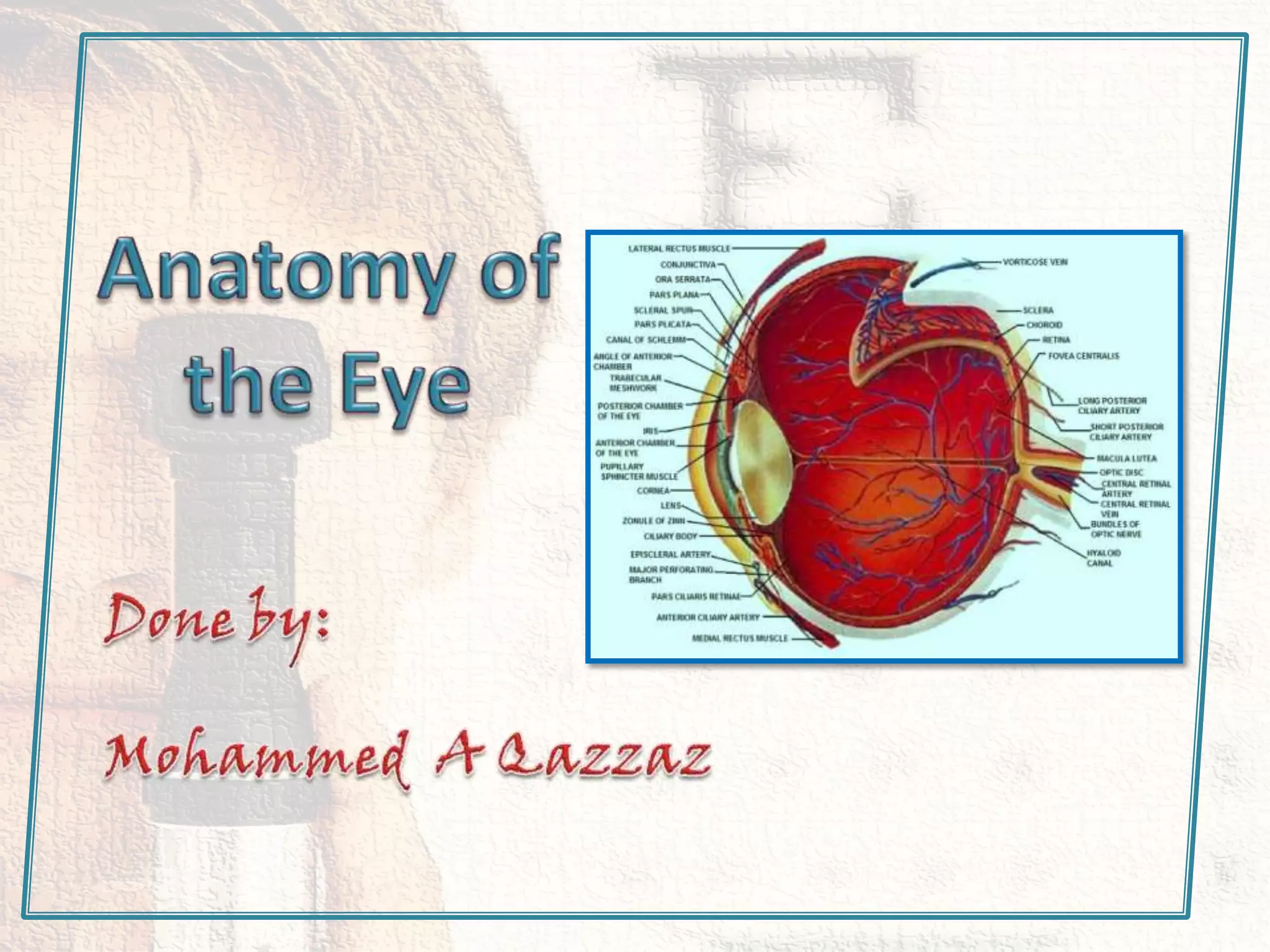 Eye anatomy | PPTX