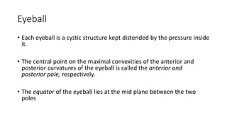 Eye anatomy | PPTX