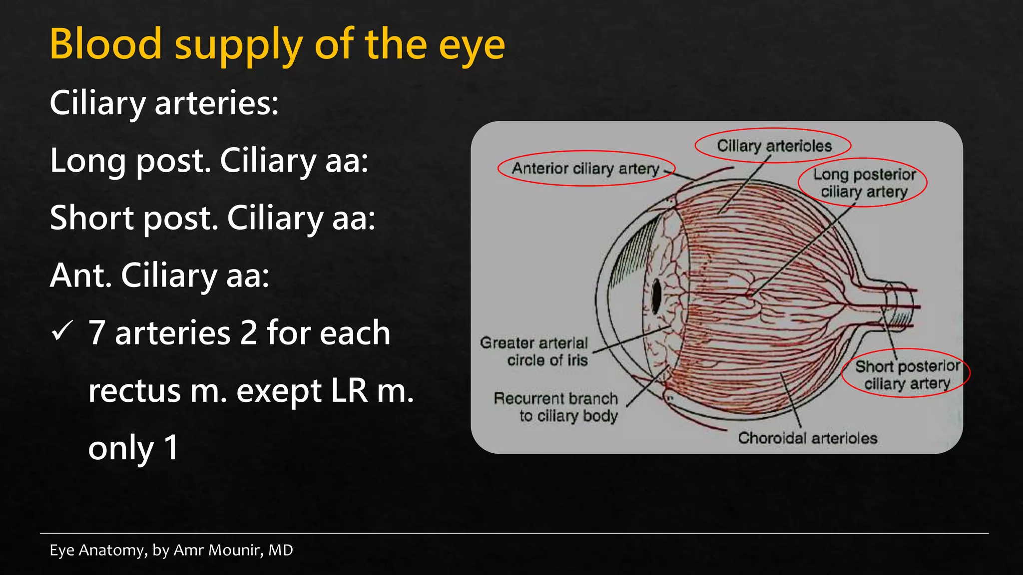 Eye anatomy | PPT
