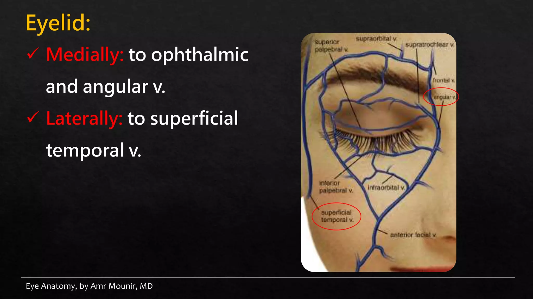Eye anatomy | PPT