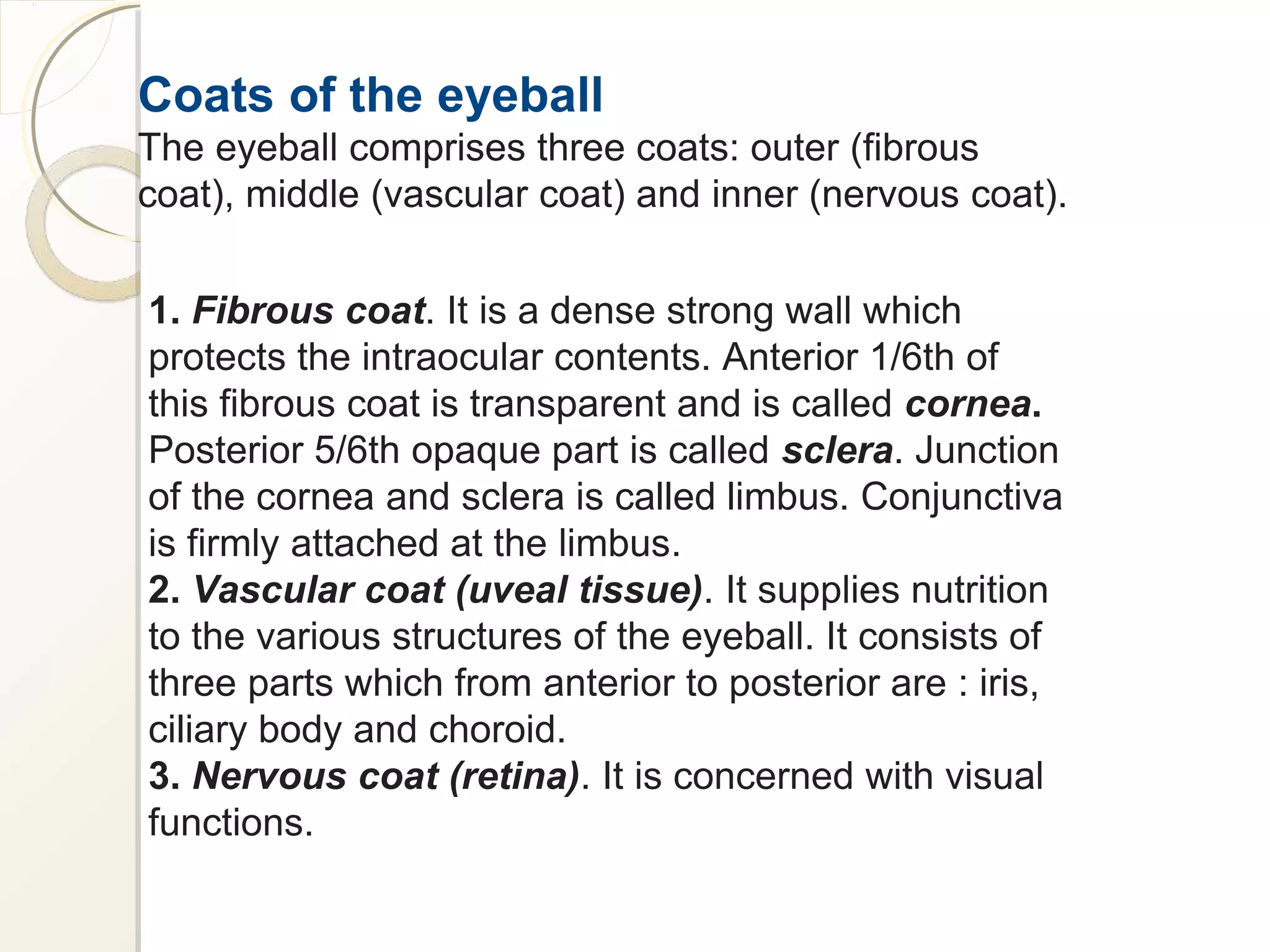 Eye anatomy | PPTX