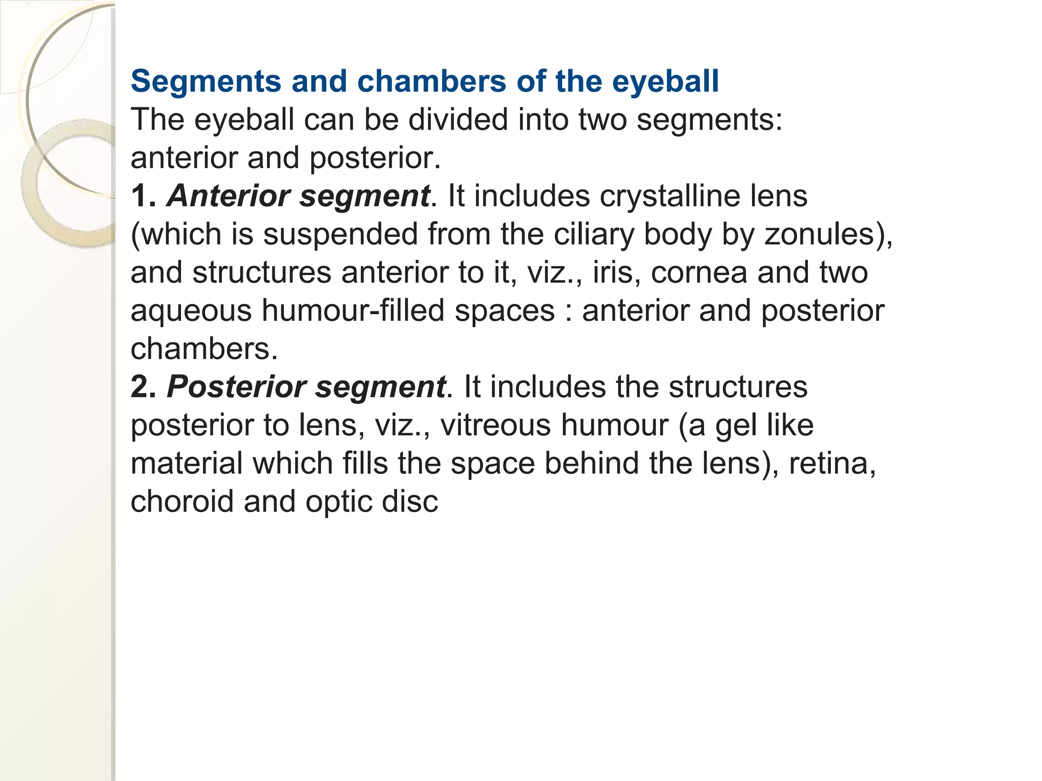 Eye anatomy | PPTX