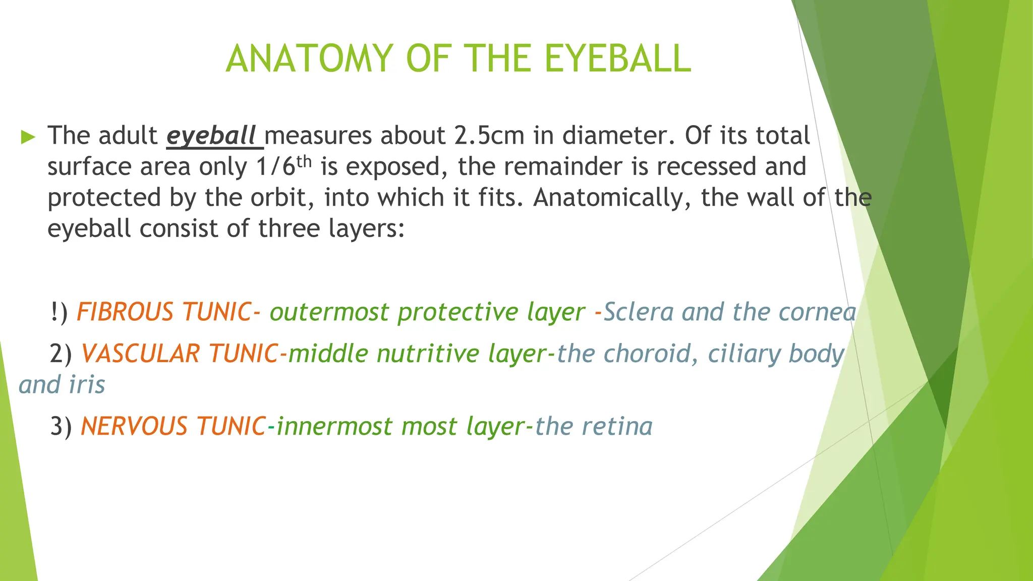 EYE ANATOMY for medical personel .pptx