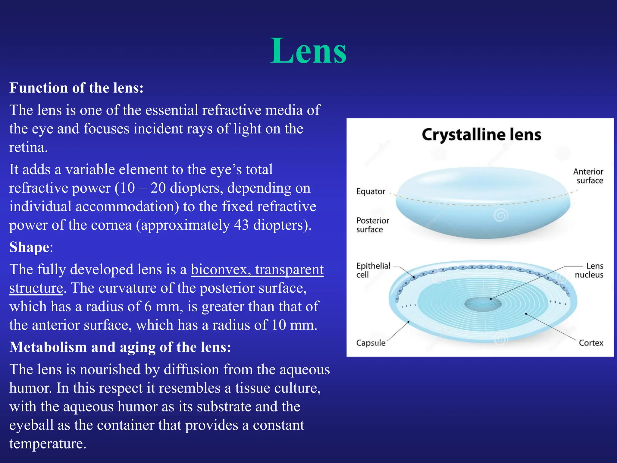 Eye anatomy.pdf eye retina sclera eye layers | PDF