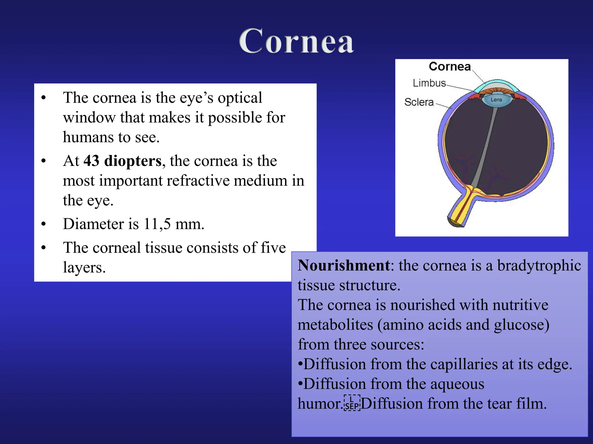 Eye anatomy.pdf eye retina sclera eye layers | PDF