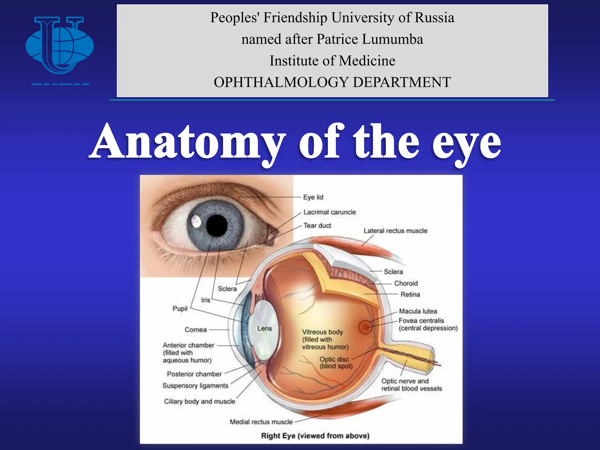 Eye anatomy.pdf sclera retina layers of eye | PDF