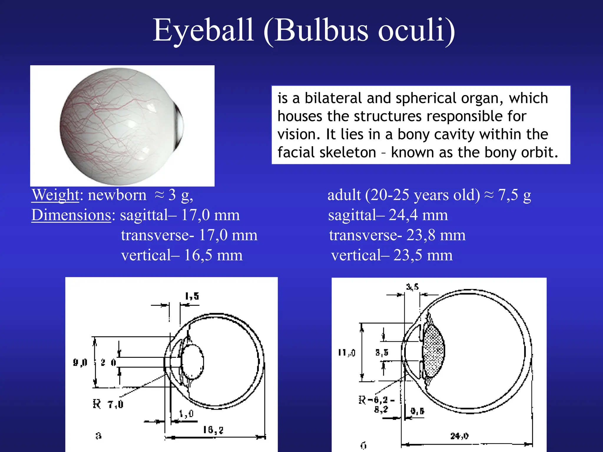 Eye anatomy.pdf sclera retina layers of eye | PDF