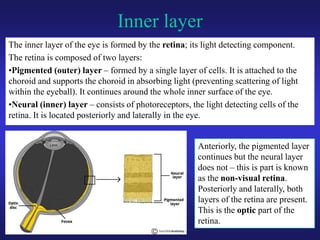 Eye anatomy.pdf sclera retina layers of eye | PDF