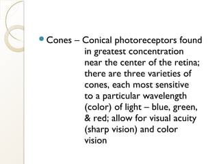 eyeanatomyakki-140511011547-phpapp01.pdf