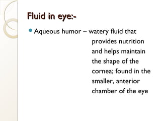 eyeanatomyakki-140511011547-phpapp01.pdf