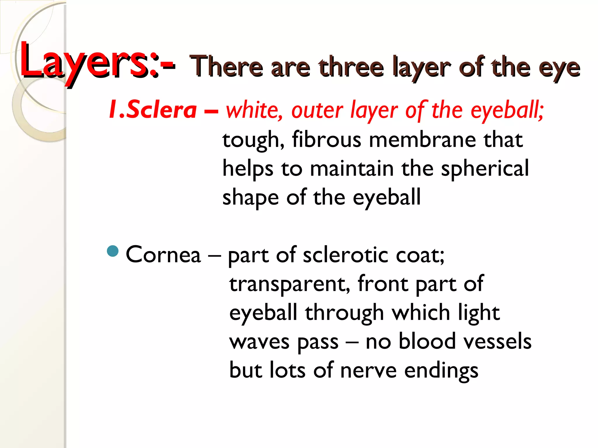 ppt on Eye anatomy | PPT