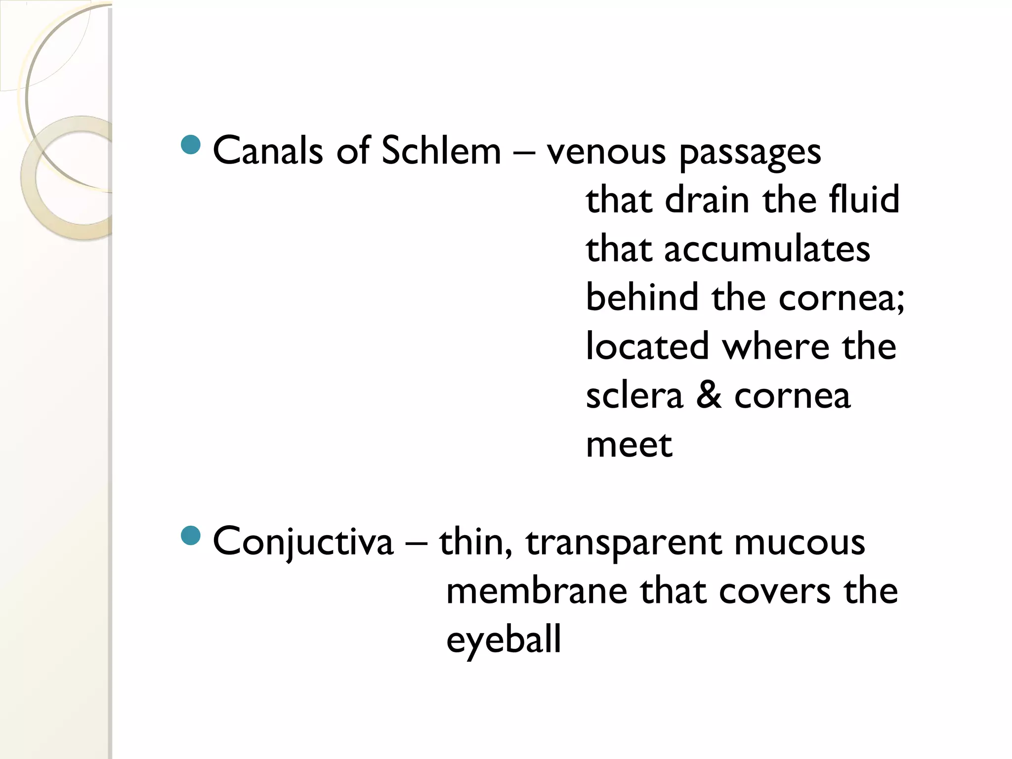 ppt on Eye anatomy | PPT