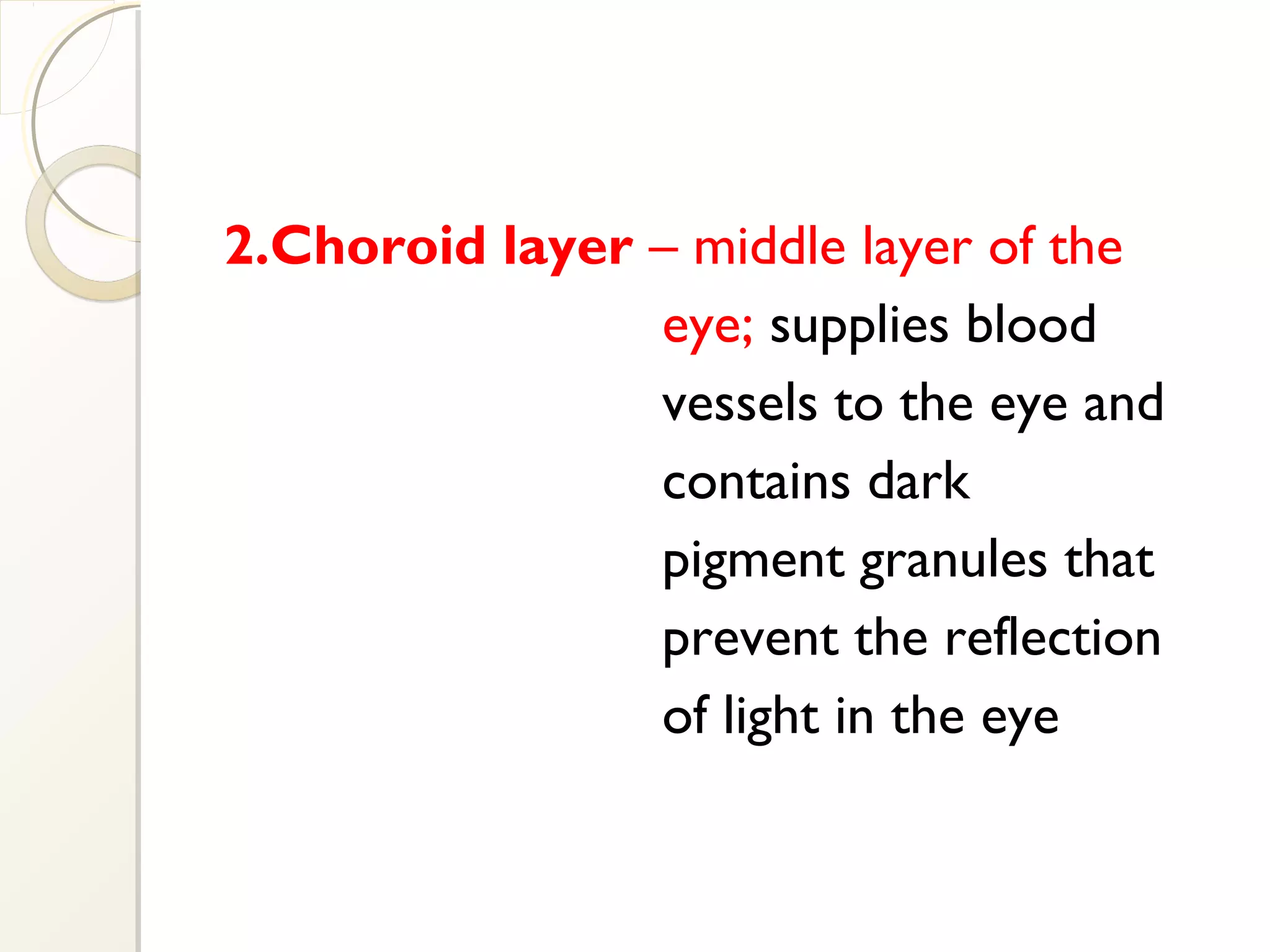 ppt on Eye anatomy | PPT