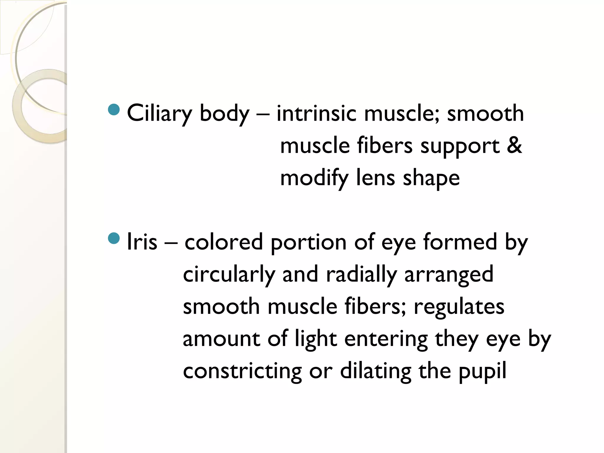 ppt on Eye anatomy | PPT