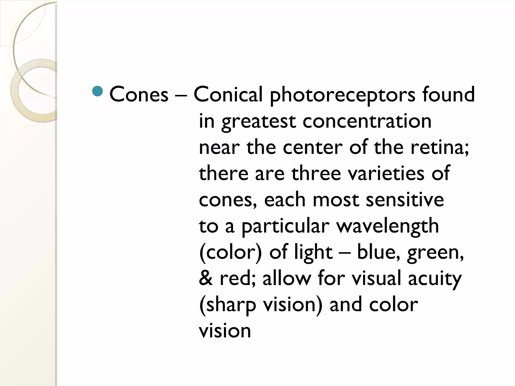 ppt on Eye anatomy | PPT