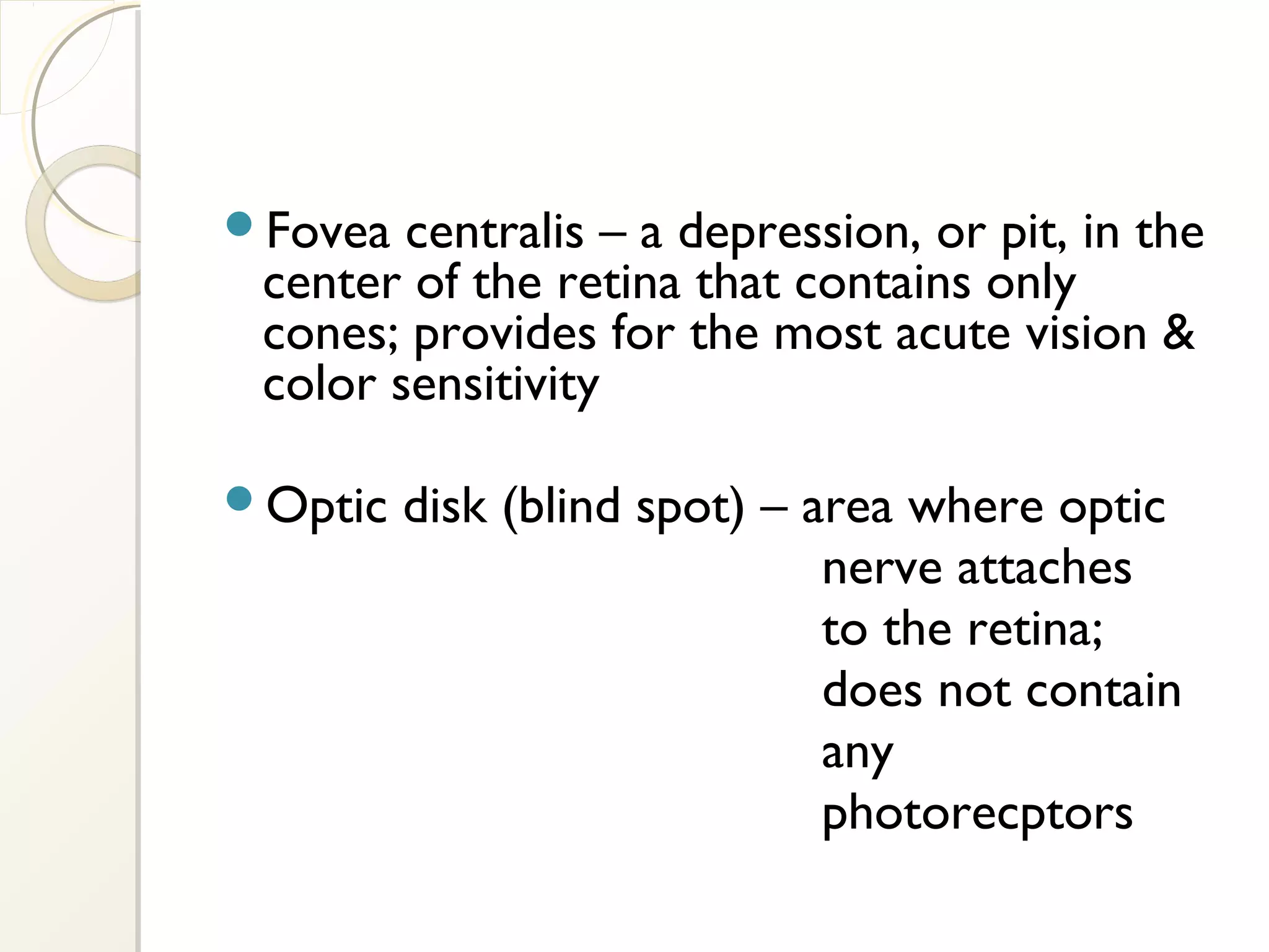 ppt on Eye anatomy | PPT