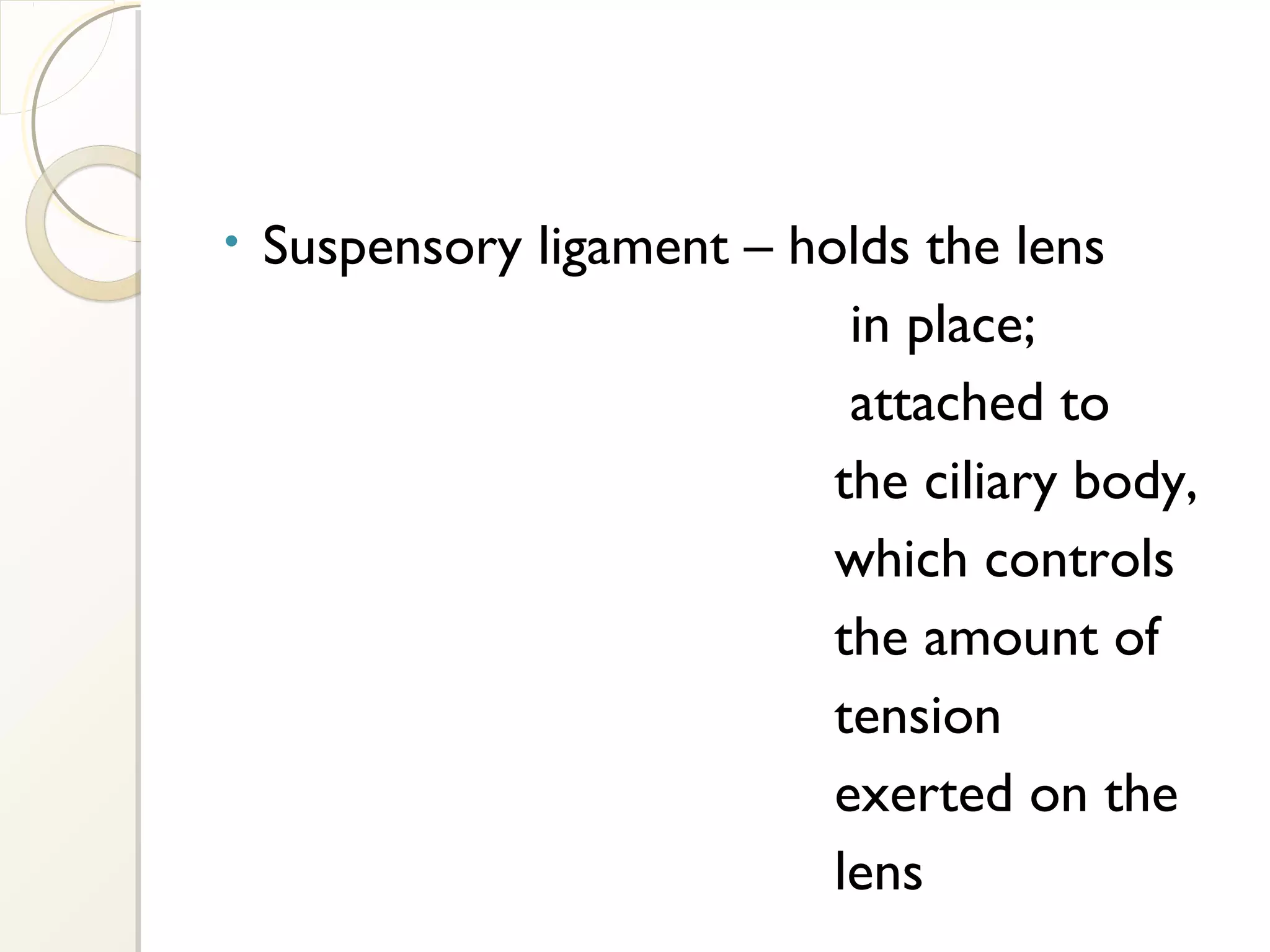 ppt on Eye anatomy | PPT