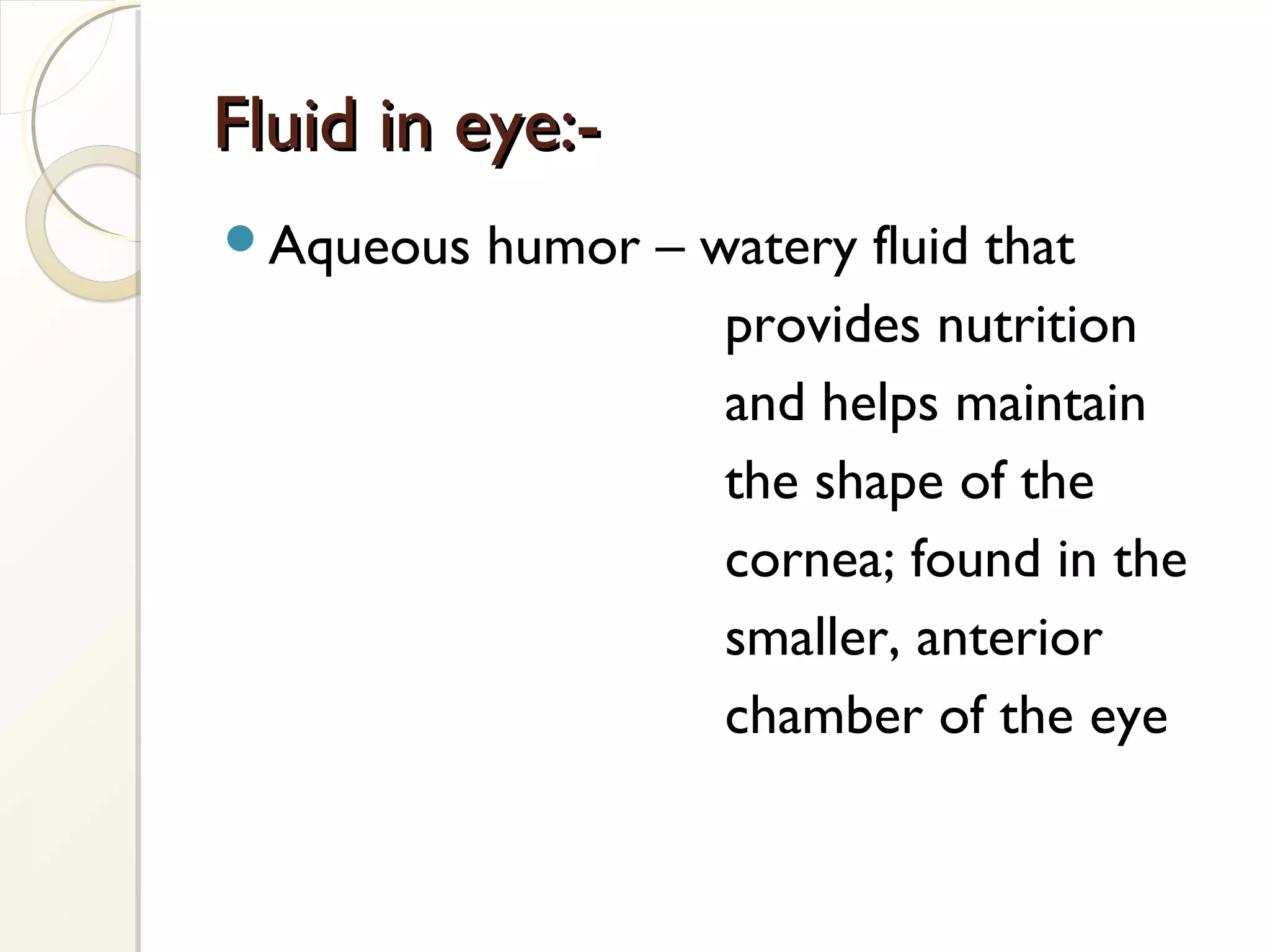 ppt on Eye anatomy | PPT