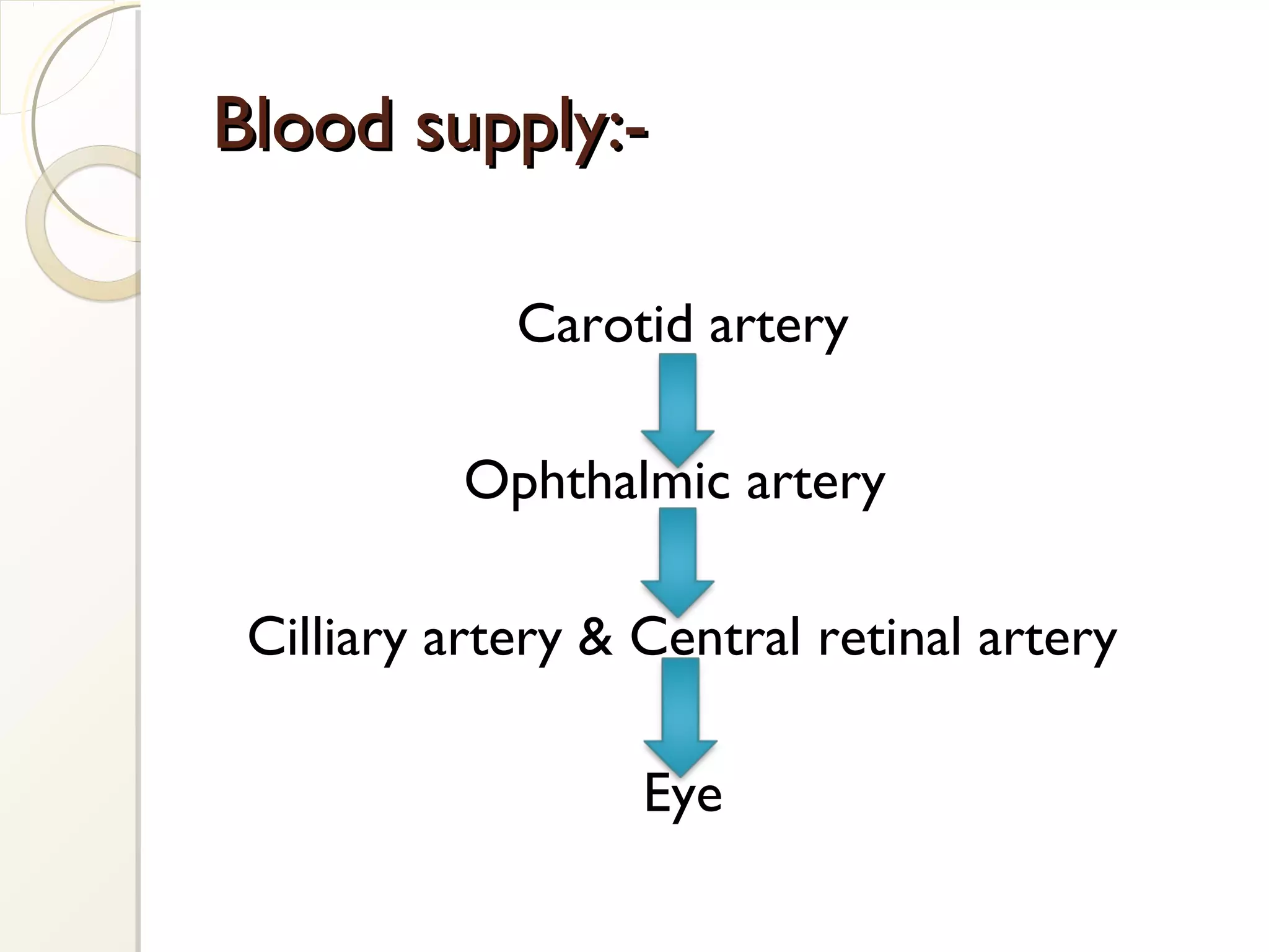 ppt on Eye anatomy | PPT
