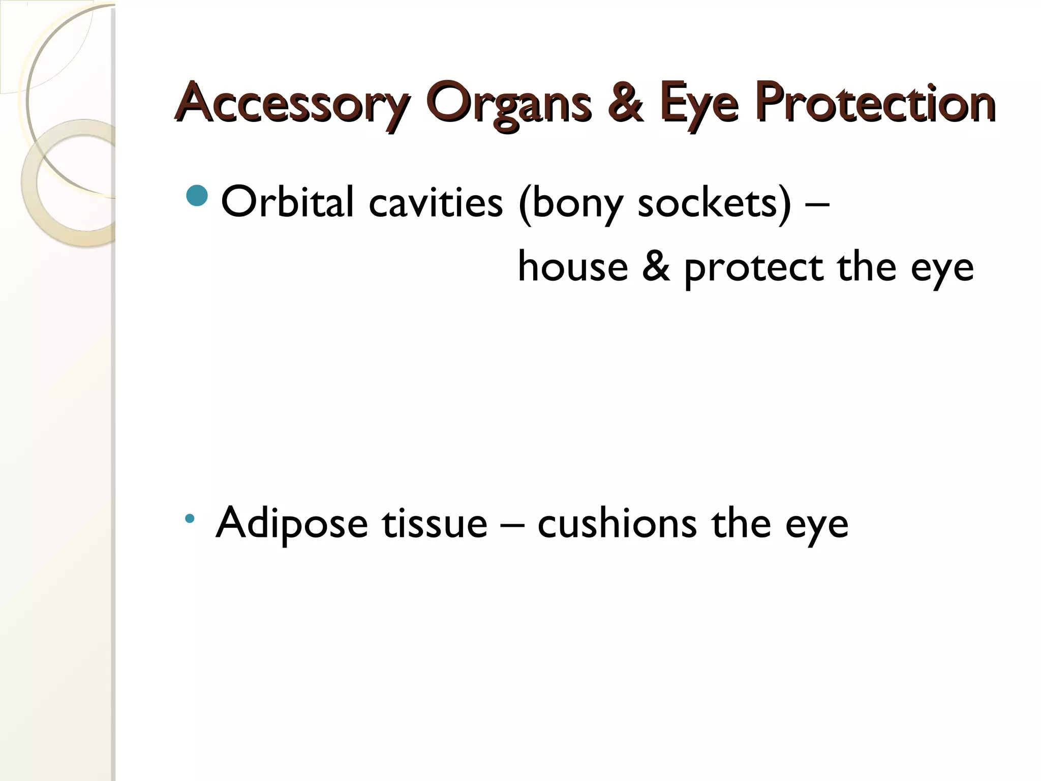 ppt on Eye anatomy | PPT