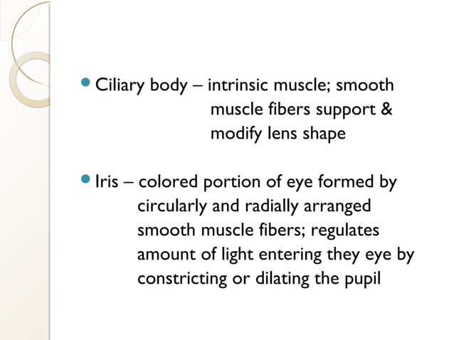 ppt on Eye anatomy | PPT