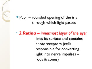 ppt on Eye anatomy | PPT