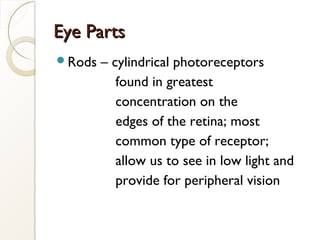 ppt on EYE | PPT