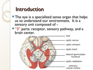 ppt on EYE | PPT