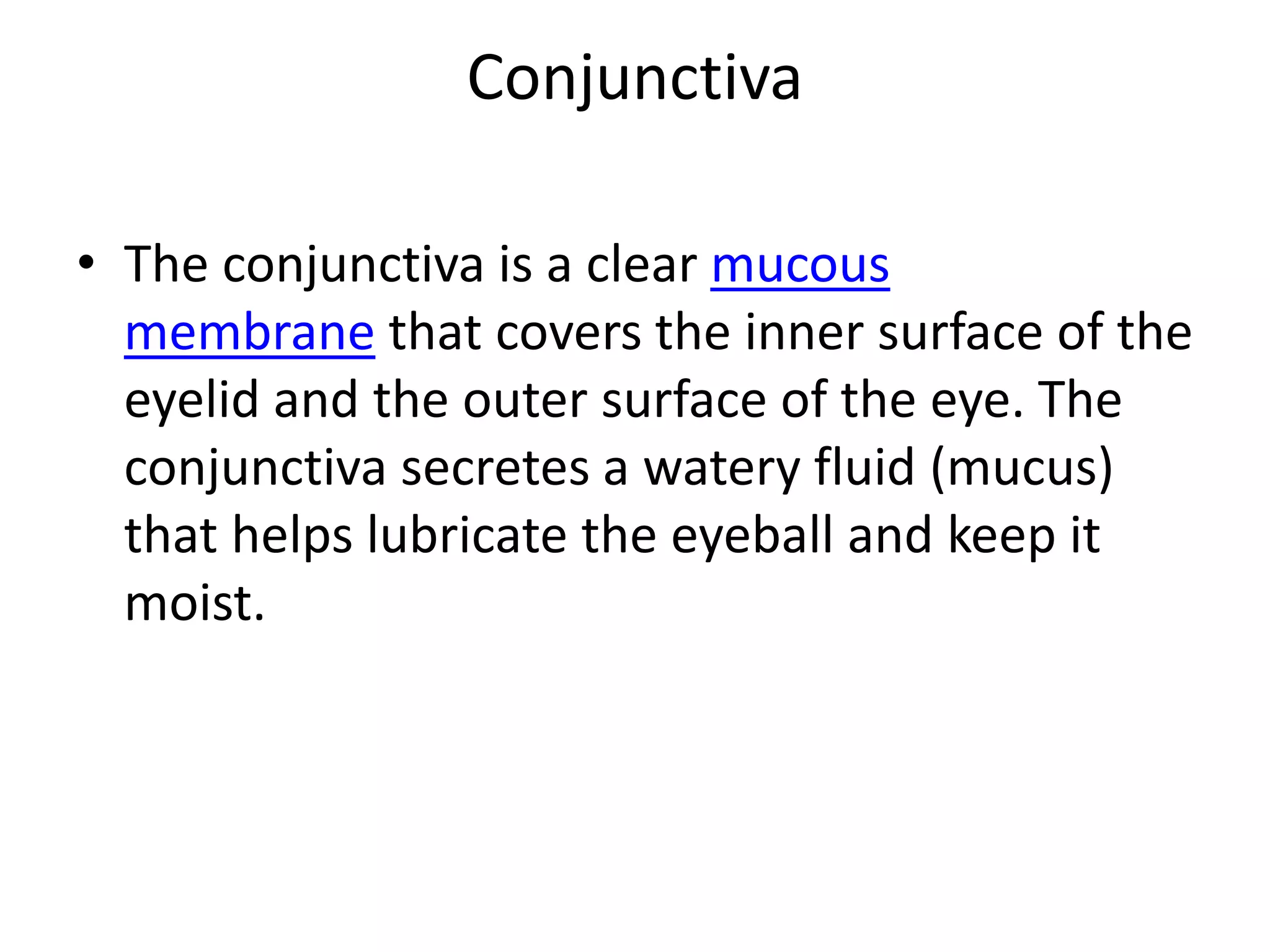 EYE ANATOMY AND PHYSIOLOGY ppt.pptx