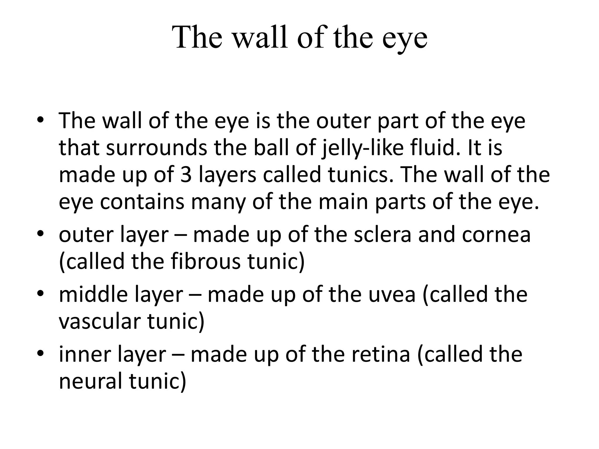 EYE ANATOMY AND PHYSIOLOGY ppt.pptx